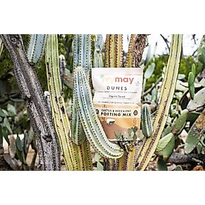 IvyMay Dunes Succulent Soil ― Organic Cactus Soil Potting Mix for Succulents, Ready to Use Potting Soil Indoor Plants with Perlite, Pumice, Earthworm Castings, Essential Oils ― 5 qt