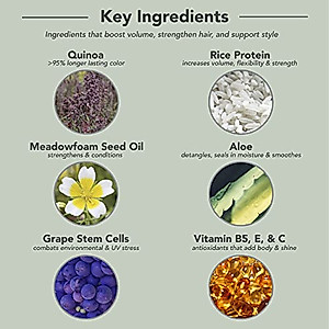 Framesi Color Lover Volume Boost Shampoo, 33.8 fl oz, Sulfate Free Shampoo with Quinoa and Aloe Vera, Color Treated Hair