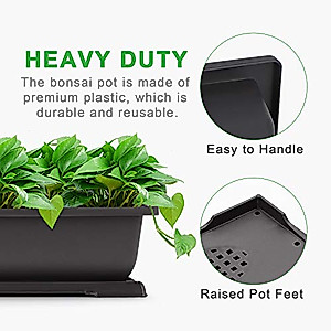 GROWNEER 3 Packs 11 Inches Bonsai Training Pots with 15 Pcs Plant Labels, Plastic Bonsai Plants Growing Pot for Garden, Yard, Office, Living Room, Balcony and More