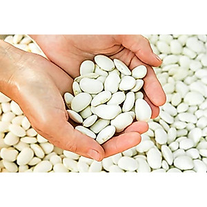 Henderson Baby Lima Bean Seeds for Planting, 30+ Heirloom Seeds Per Packet, (Isla's Garden Seeds), Non GMO Seeds, Botanical Name: Phaseolus lunatus, Great Yields, Excellent Garden Gift