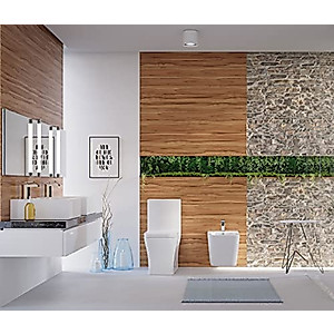 Swiss Madison Well Made Forever SM-1T106 Concorde One Piece Toilet, Glossy White