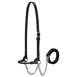 Weaver Leather Livestock Dairy Halter, X-Small, Black