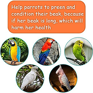 Parrot Chewing Toy Bird Bite Toy with Colorful Wood Beads, Multicolored Natural Wooden Block Cage Toys for Macaw Cockatoo Parakeets