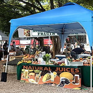 Canopy Tent 10x10FT, Anti-UV Sun Shade Canopy Tent, Easy Set-up Canopy for Camping, Parties, Garden, Backyard, Wheel Carrying Bag