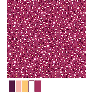 Barn Star Sampler: 20 Starry Blocks and 7 Spectacular Quilts