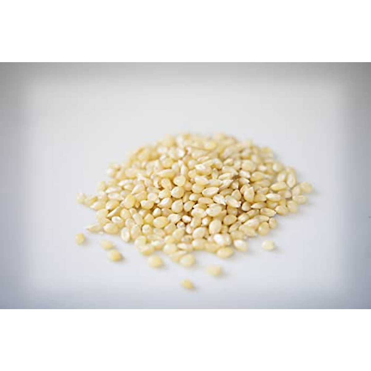 Amish Country Popcorn | 6 lb Bag | Popcorn Kernels | Small and Tender | Old Fashioned, Non-GMO and Gluten Free (6 Pound (Pack of 1), Baby White)