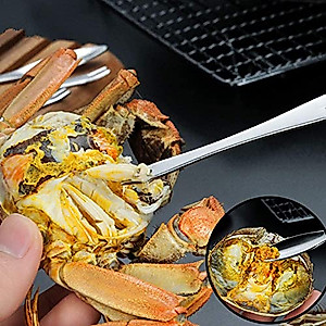 9Pcs Seafood Tools, Crab Crackers and Nut Crackers Forks Tools, Walnut Cracker Tools with Bag, Opener Shellfish Lobster Crab Leg Cracker Sheller Home Kitchen Tools for Crableg and Lobster Lovers Gift