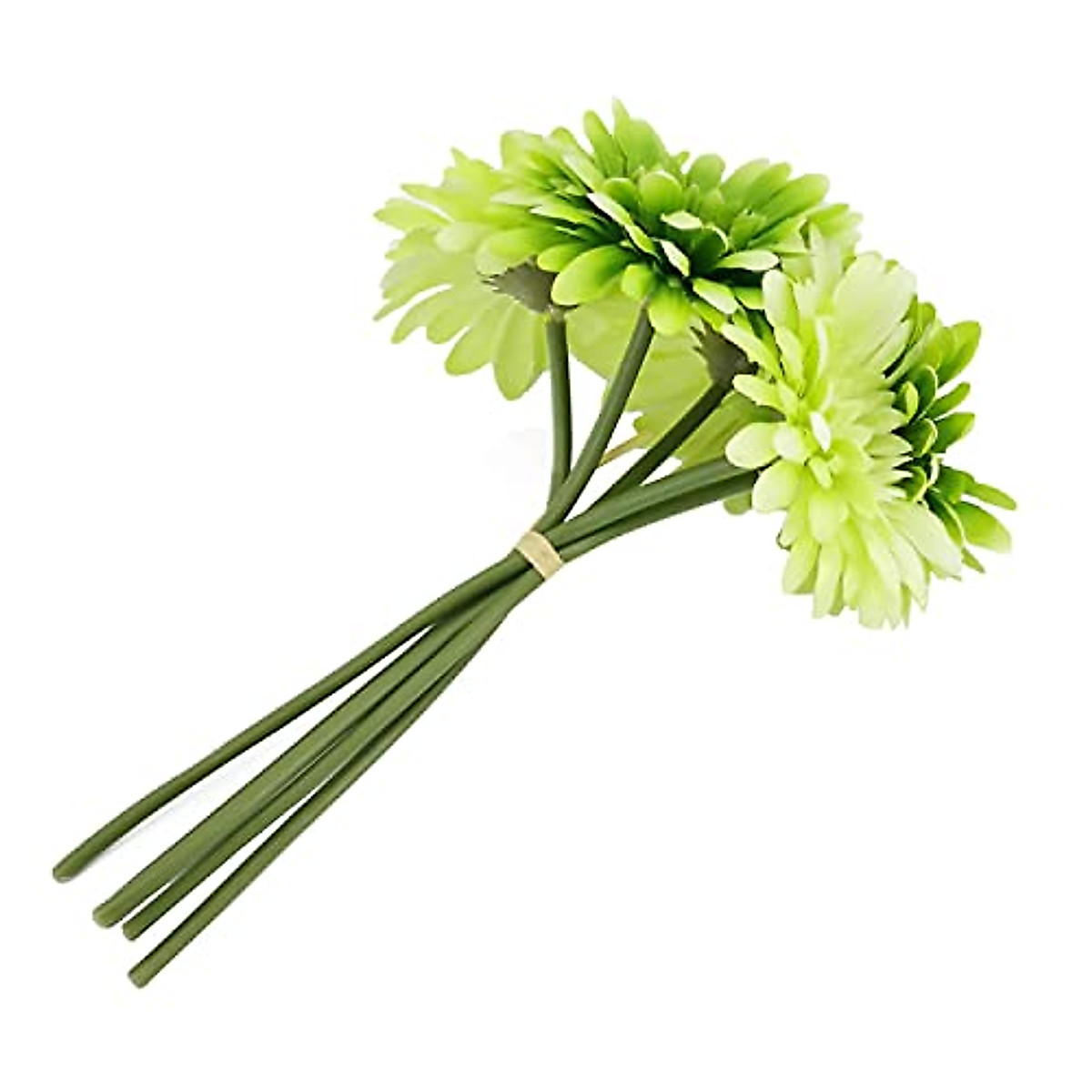 TOPIA Artificial African Daisies Flowers African Daisy Silk Flowers Artificial Gerbera Daisies Pack of 10 (Green)