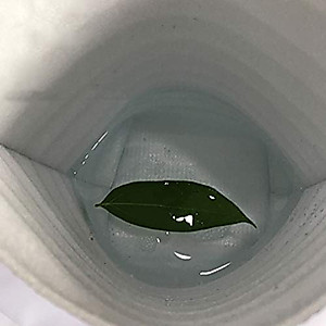 50 Pcs Disposable Food Thermal Pouches Hot Cold Insulation Food Bags Take out Aluminum Foil Food Shipping Pouches for Picnic Camping Store (20x20cm)