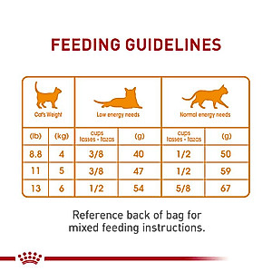 Royal Canin Hair & Skin Care Dry Cat Food, 6 lbs.