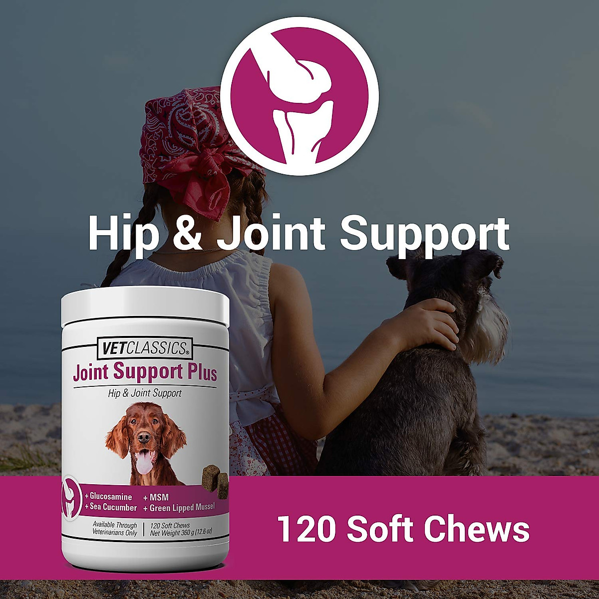 Vet Classics Joint Support Plus Dog Supplement - Hip Health Supplement for Dogs – Alleviates Aches and Discomfort - For Flexibility, Healthy Joint Function in Canines – Antioxidants – 120 Soft Chews