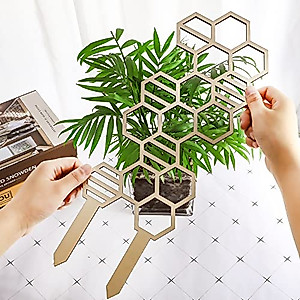 2 Pieces Wooden Small Indoor Trellis Plant Trellis for Climbing Plants Hexagon Trellis for Potted Plants Trellis Vine Supports Garden Trellises with 10 Pieces Black Cable Ties for Plant (Honeycomb)