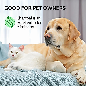 Veloxe Ceiling Fan Filters for Blades | 6-Pack Set Air Filters with Activated Charcoal | Odor Eliminator & Air Purifiers for Common Household Contaminants | Unscented Carbon Air Filters