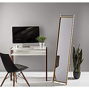 Adesso WK1117-12 Abigail Floor Mirror, Chrome