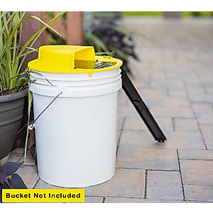RinneTraps - 2 Pack Flip N Slide Bucket Lid Mouse/Rat Trap |Humane or Lethal| |Trap Door Style| |Multi Catch |Auto Reset| |Indoor Outdoor| |5 Gallon Bucket Compatible| Manufacturer| MADE IN USA