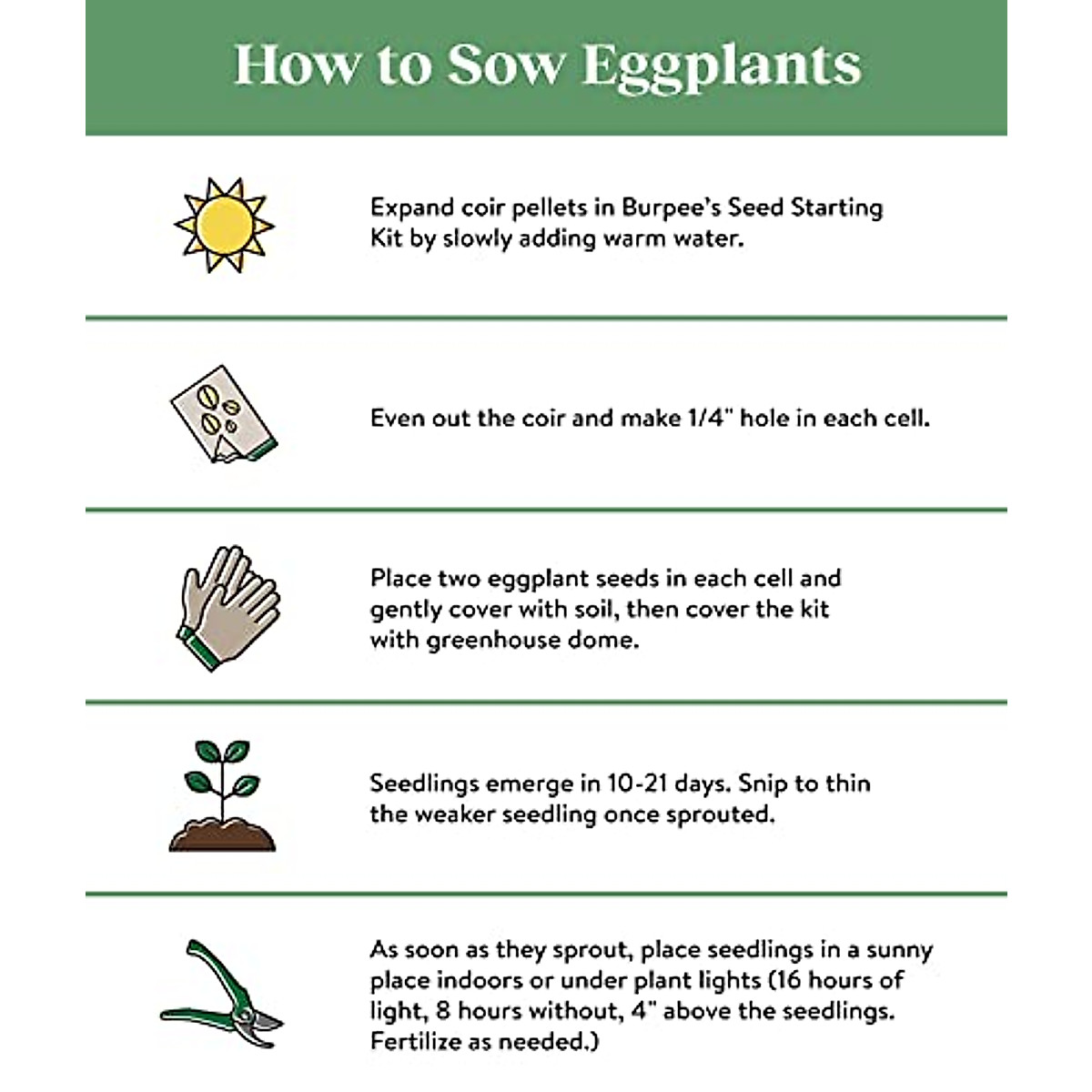 Burpee Patio Baby Eggplant Seeds 30 seeds