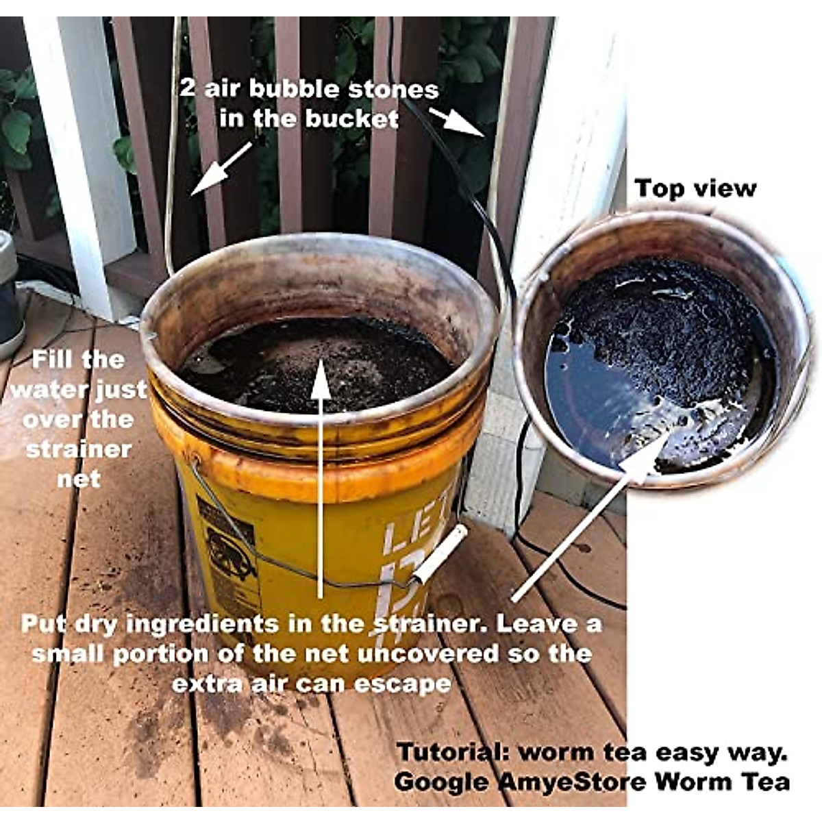 Special! Pole Bean Seeds for Planting Vegetables and Fruits-Chinese Green Bean Seeds 扁豆芸豆.French/Romano Pole Beans.Non GMO Garden Seeds for Home Vegetable Garden-30ct Helda Bean,15g