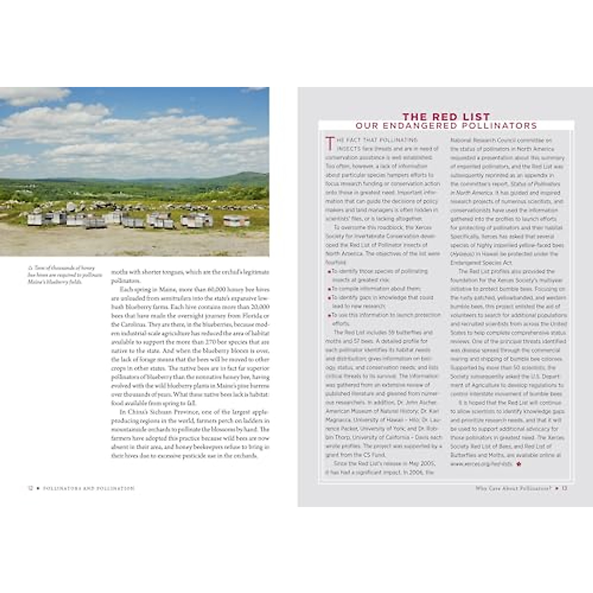 Attracting Native Pollinators: The Xerces Society Guide, Protecting North America's Bees and Butterflies