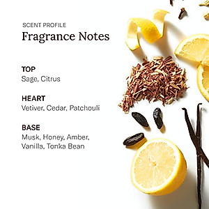 Stetson Original by Scent Beauty - Cologne for Men - Classic, Woody and Masculine Aroma with Fragrance Notes of Citrus, Patchouli, and Tonka Bean - 1.5 Fl Oz