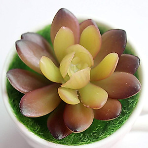 FABSELLER 12pcs Artificial Succulent Plants Mixed Fake Unpotted Succulents Faux Flowers for DIY Wall Home Indoor Garden Decoration (Red/Purple, Random Send)