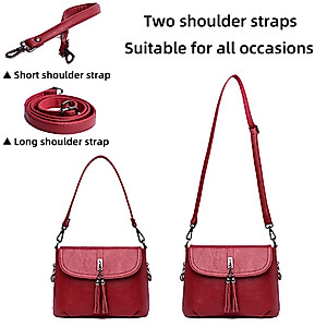 MINTEGRA Crossbody Bag for Women with Tassel Functional Shoulder Purse Saddle Messenger Bag