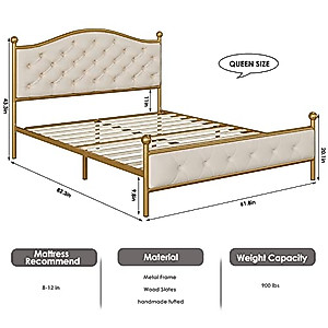 HIFIT Queen Size Platform Bed Frame with Elegant Button Tufted Curved Headboard, Velvet Upholstered Bed Frame with No Noise, Heavy Duty Metal Frame Foundation, No Box Spring Needed, Gold-Beige