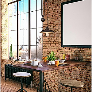 Westinghouse Lighting 6363200 Iron Hill One-Light Pulley, Oil Rubbed Bronze Finish with Highlights and Metal Shade Indoor Pendant, 1, Black