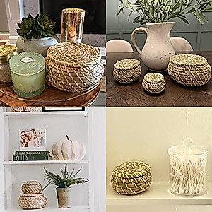 Dicunoy Set of 3 Small Wicker Basket with Lid, Round Woven Seagrass Baskets, Little Handmade Rattan Storage Basket Box for Shelf, Home, Bathroom Decor