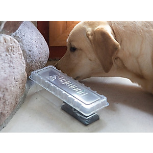 DoomBox™ Green Enclosed Mouse Trap | Keeps The Mess with The Mouse | Patented Click-It™ Closure Technology | Safe for Kids & Pets | Certified Child Resistant | Made in USA (5-Pack Green)