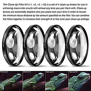 Canon EOS 5D Mark IV 30.4 MP DSLR Full Frame Camera Body with EF 50mm F1.8 STM Lens + EF 75-300mm F4-5.6 III Lens Kit Ultimate Travel Bundle