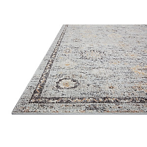 Loloi Monroe Sky/Gold 9'-3" x 13' Area Rug