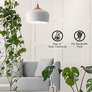 Tenergy LED Light Bulb, 9 Watts (60W Equivalent) A19 E26 Medium Standard Base, 5000K Daylight White Energy Saving Light Bulbs for Office/Home, 32 Pack