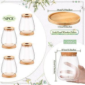 4 Pcs Desktop Plant Terrarium Plant Propagation Planter Propagation Vase Propagation Jars Glass Plant Containers Air Planter Water Station with Wooden Lid and Stand for Hydroponic Home Office (Large)