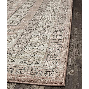 Rugs America Harper HY40A Carnation Transitional Vintage Area Rug, 5'x7'
