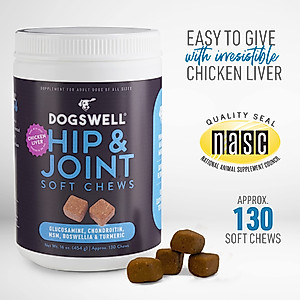 DOGSWELL Hip and Joint Supplement for Dogs - Soft Chews with Glucosamine, Chondroitin, MSM, Boswellia & Turmeric, 1 Pound