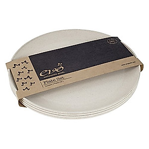 EVO Sustainable Goods 10" Plate, Set of Four, White