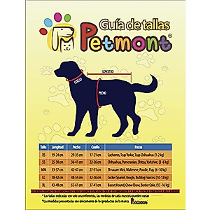 PETMONT Sports T-Shirt for Pets Desing: Unleash The Beast Black and Neon Orange and Black Great for Small and Medium Dogs Size Extra Large