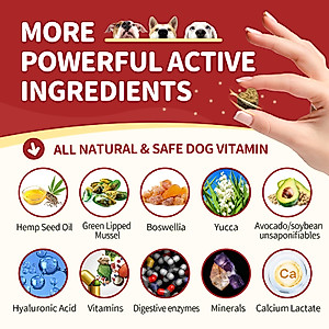 Glucosamine for Dogs, Probiotics for Dogs 180 Bites