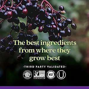 New Chapter Women's Multivitamin for Immune, Beauty + Energy Support with 20+ Nutrients -- Every Woman's One Daily, Gentle on the Stomach, 72 Count