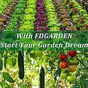 35mm Peat Pellets Seed Starting Plugs Seeds Starter Pallet 100 Pack Seedling Soil Block for Garden Seedling Planting