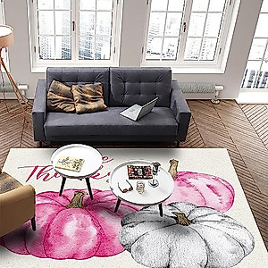 Pink White Pumpkin Area Runner Rug Carpet 3'x5',Outdoor Indoor Kitchen Living Room Bathroom Bedroom Classroom Washable Bath Rug,Doormat Desk Welcome Floor Door Mat,Thanksgiving Harvest Festival Fall