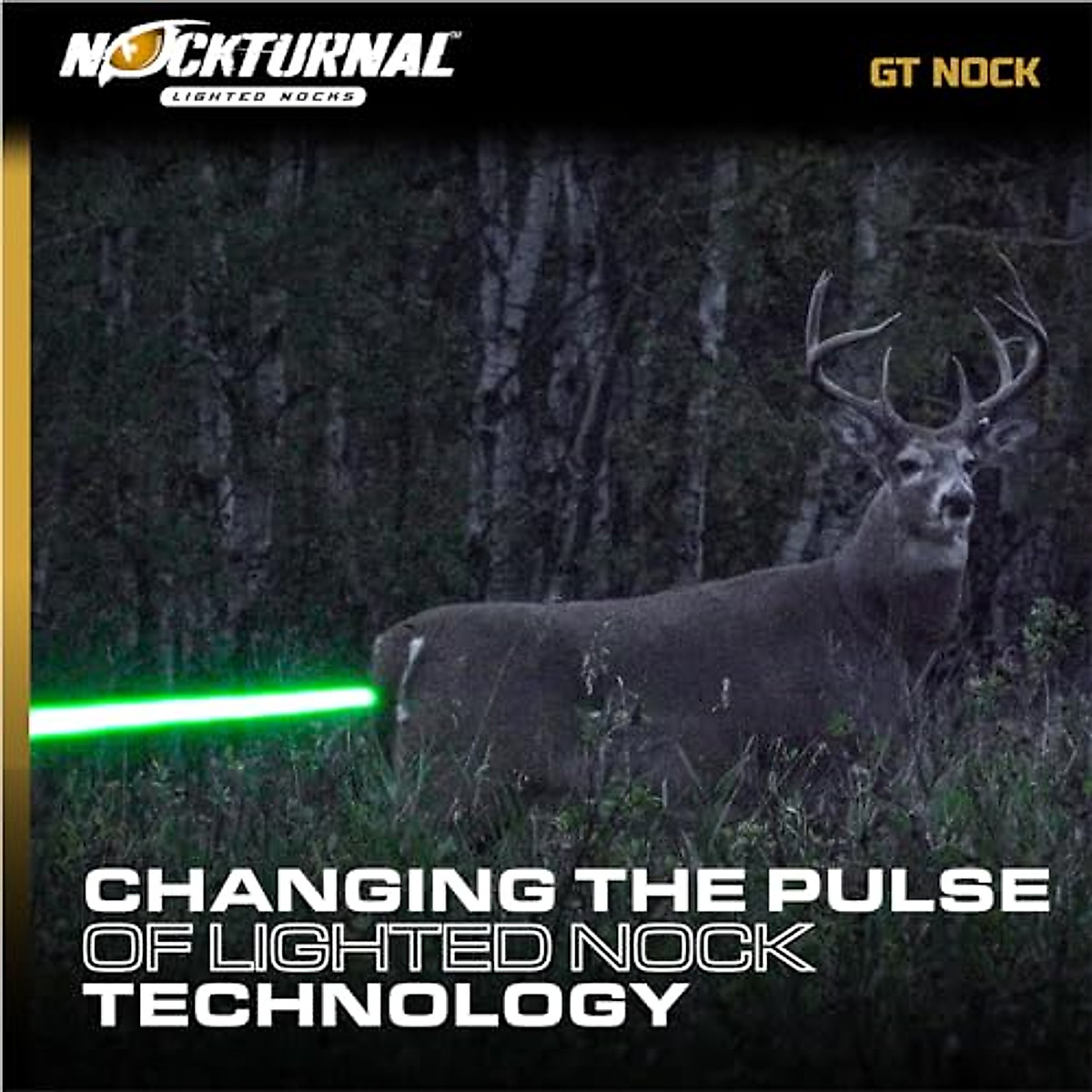 Nockturnal Lighted Nocks for Arrows with .246 / .244/204 Inside Diameter, Green