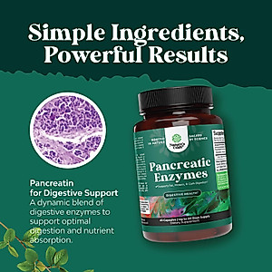 Pancreatin Digestive Enzymes for Digestive Health - Pancreatic Enzymes for Humans with Fat Carb and Protein Digestive Enzymes for Women and Men - Protease Amylase & Lipase Enzymes for Digestion - 60ct