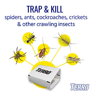 Terro T3206 Spider & Insect Trap, 4 Count (Pack of 1)