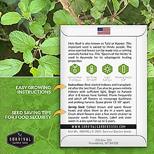 Survival Garden Seeds - Holy Basil Seed for Planting - Packet with Instructions to Plant and Grow The Indian Sacred Herb Tulsi in Your Home Vegetable Garden - Non-GMO Heirloom Variety