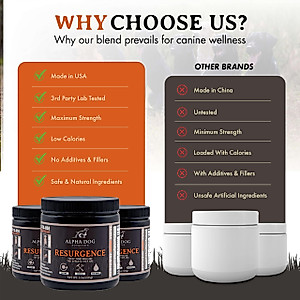 Resurgence Dog Electrolytes by Alpha Dog Nutrition | Promote Dog Hydration, Increase Stamina, and Boost Recovery | Electrolyte Water Additive or Food Topper to Prevent Dehydration with Beef Flavoring