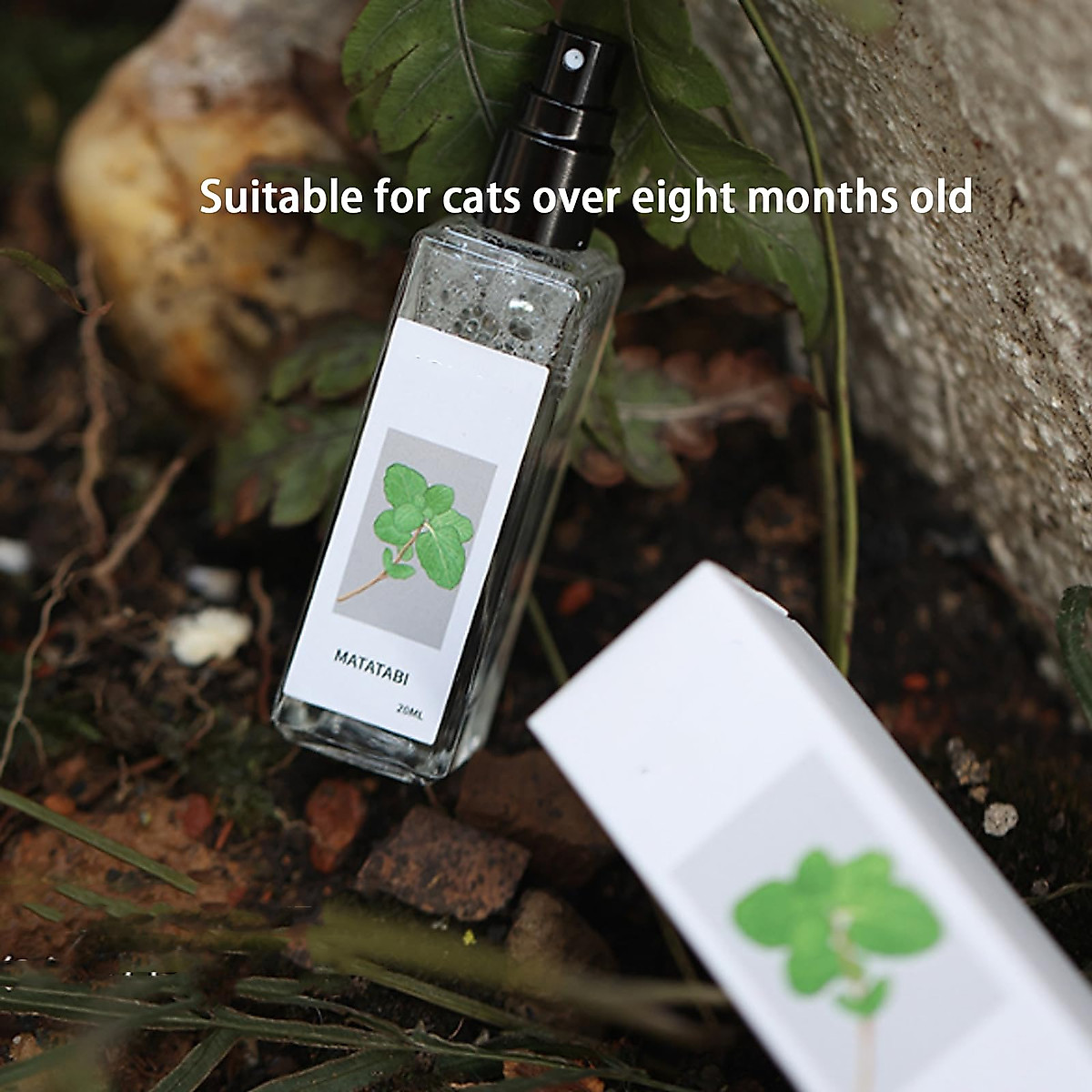 Kitty Joy Herbal Cat Joy, Cat Cupid Spray, Cuddles and Meow Cat Cupid Spray, Cat Cupid Spray Joy Cat, Celery Pets Herbal Cat Joy, Indoor Cat Training Spray with Catnip, Anti Scratch Cat Spray (3PCS)