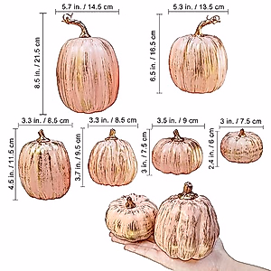 Winlyn 10 Pcs Assorted Artificial Gold Brushed Pink Pumpkins Rustic Decorative Pumpkins Foam Pumpkins for Farmhouse Fall Wedding Baby Shower Halloween Tabletop Centerpiece Mantel Decoration