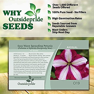 Outsidepride Burgundy Star Easy Wave Petunia Spreading Garden Flowers for Hanging Baskets, Pots, Containers, Beds - 30 Seeds