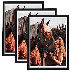 QDSSDECO 16"x20" Picture Frame Black Wood Frame with PS Board Hanging on the Wall Display Picture, Set of 3
